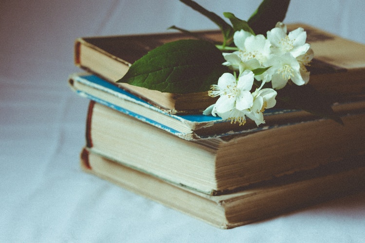 book - Acing Life